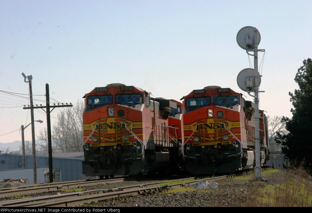 BNSF 5309 BNSF 4568